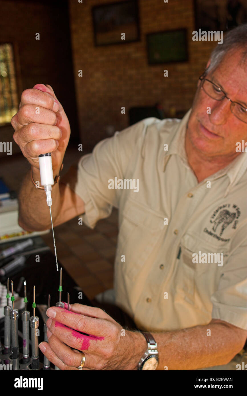 Vet preparing elephant contraception Stock Photo - Alamy