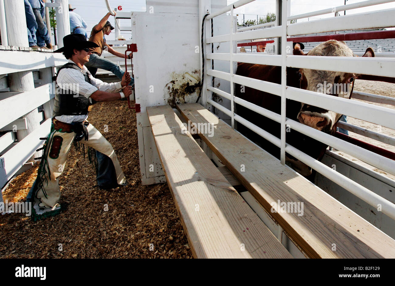 Rodeo chutes hi-res stock photography and images - Alamy