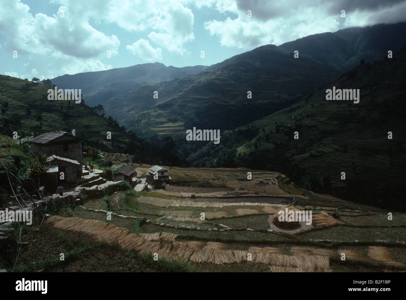A terrace farm in a remote valley in the Himalayan mountains in Nepal ...