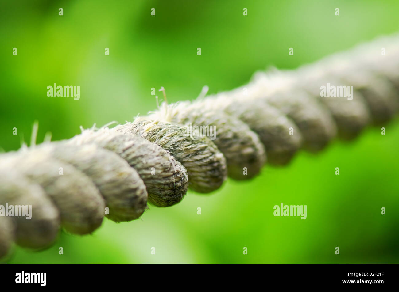 Closeup of old fiber rope over green background Stock Photo - Alamy