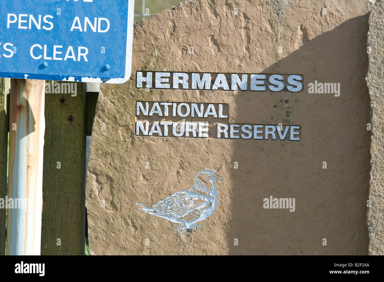 Hermaness national nature reserve hi-res stock photography and images ...