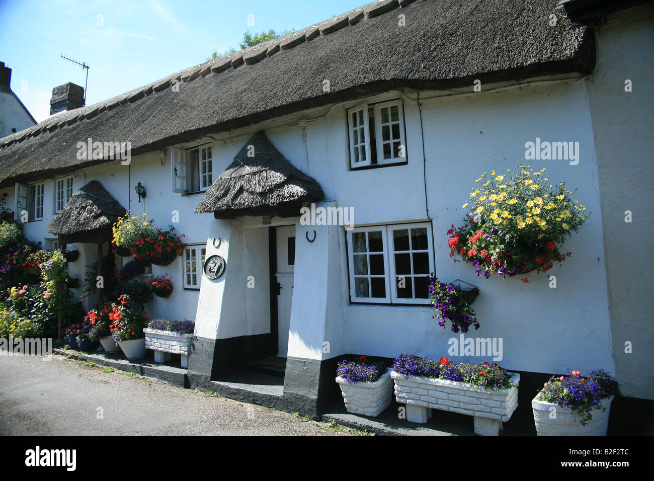 Beautiful White painted cob and thatch cottages with summer flower ...