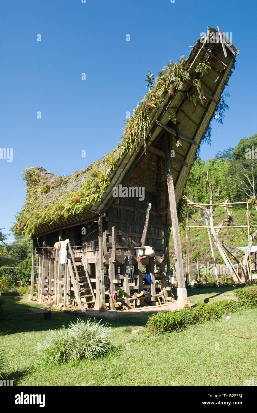 In Lemo, an old traditional Torajan house. Sulawesi-Indonesia. A Lemo ...
