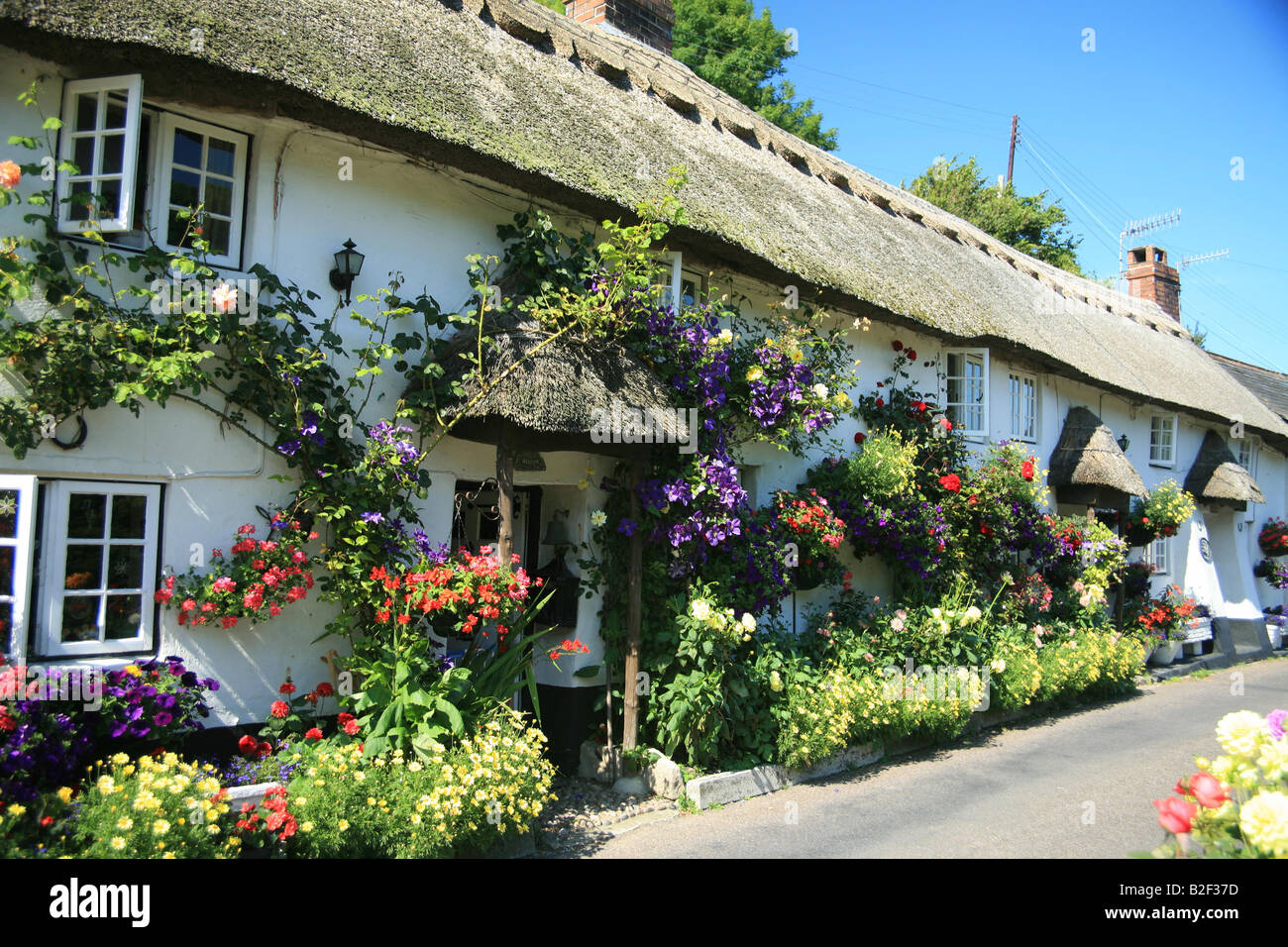 Beautiful White painted cob and thatch cottages with summer flower ...