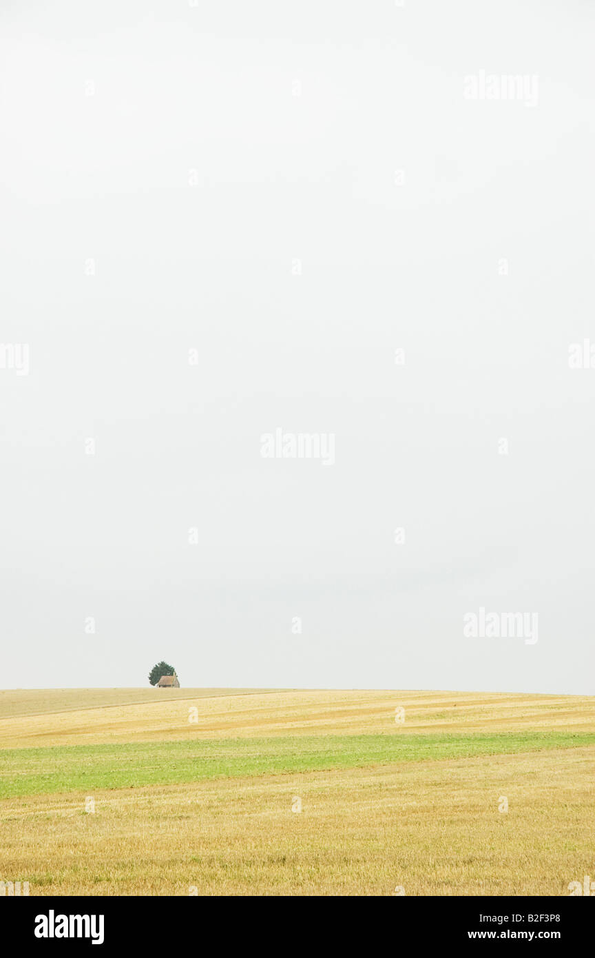 Open field hi-res stock photography and images - Alamy