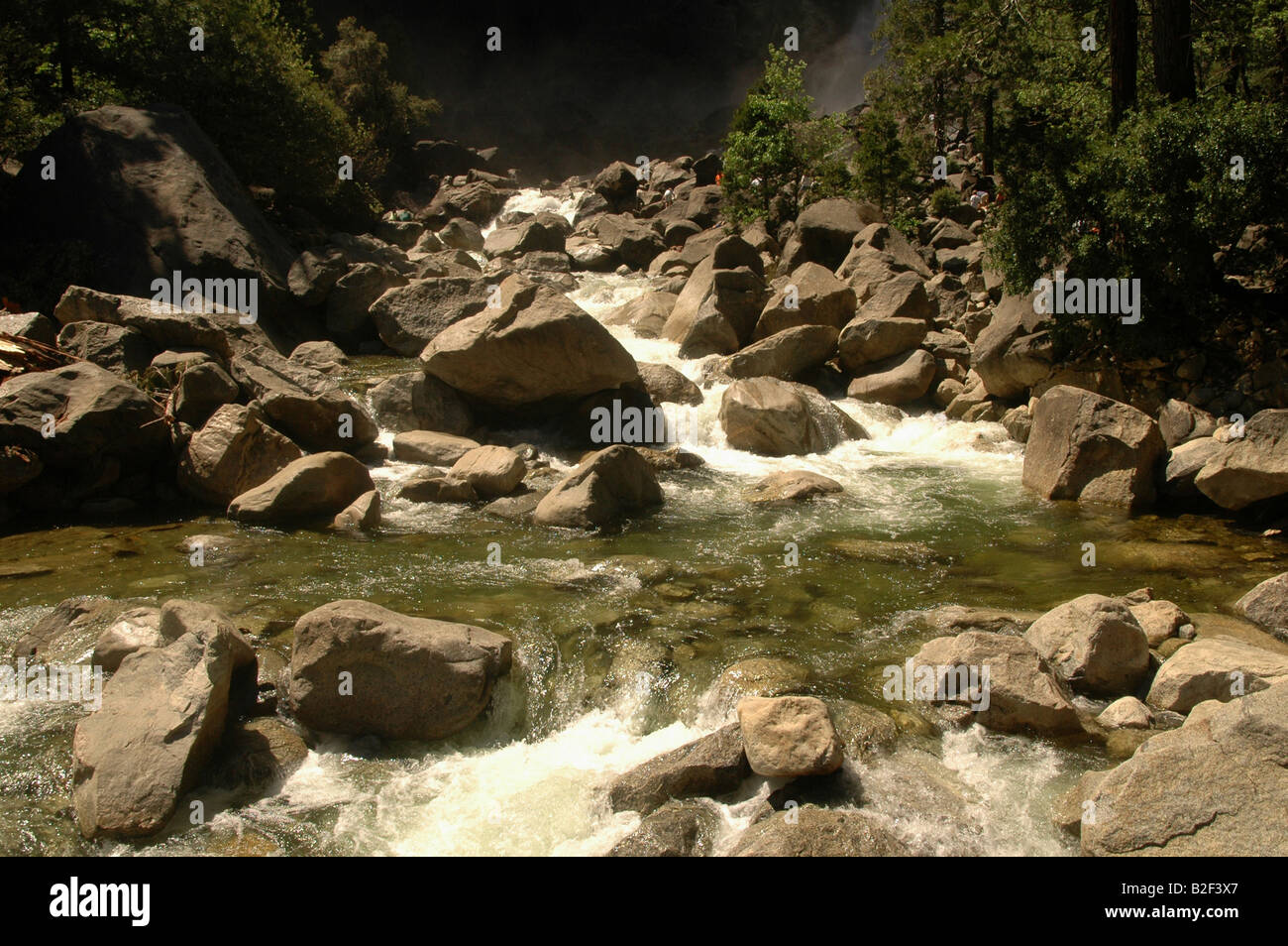 Rainforest pool river hi-res stock photography and images - Alamy