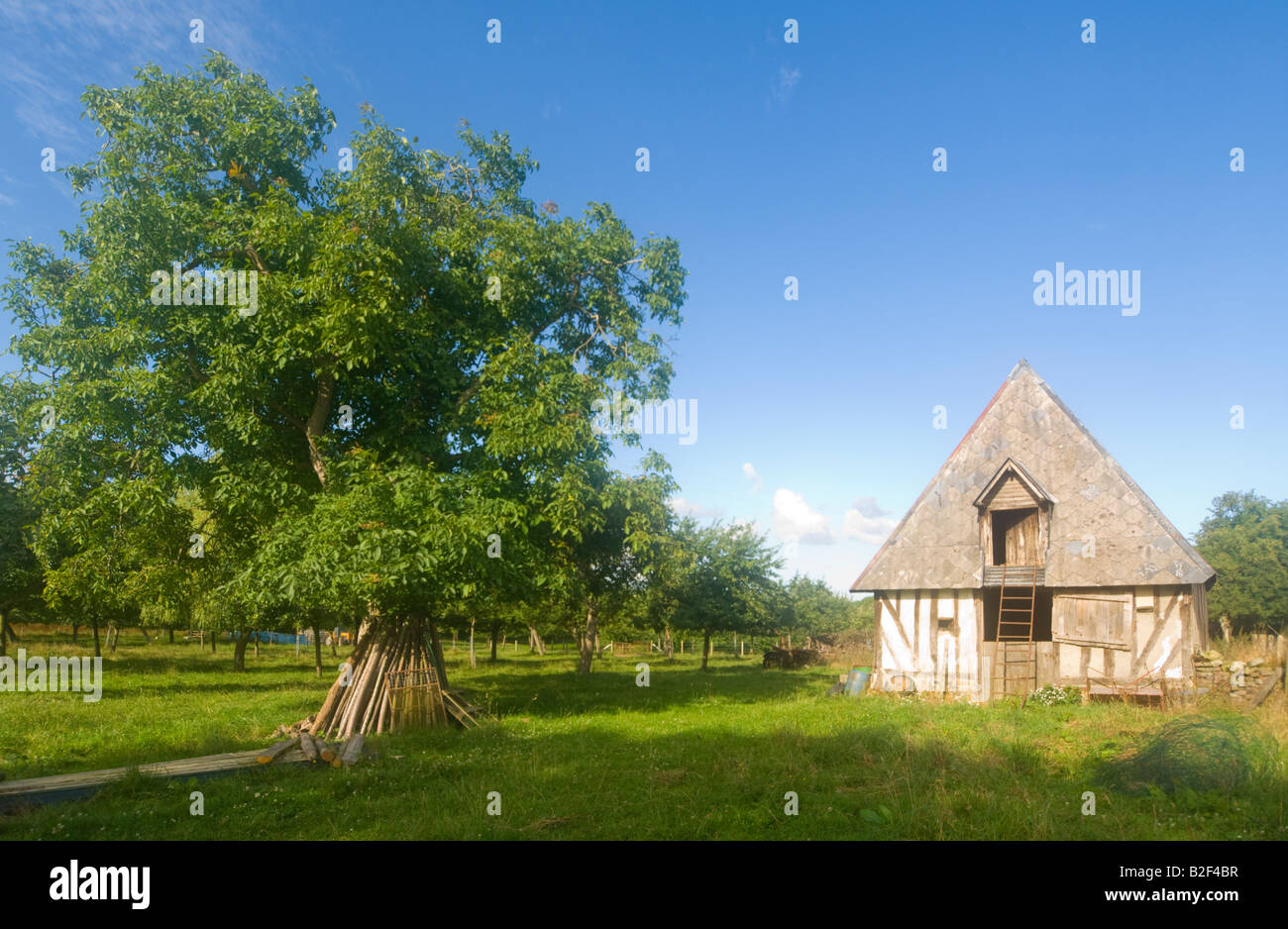 A typical Norman barn with exposed beams, Normandy, France Stock Photo ...