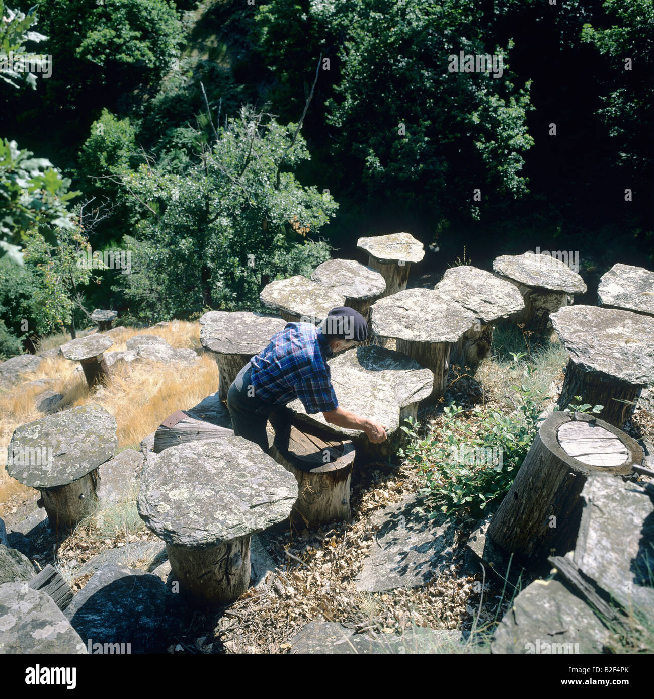 Beekeeper inspects beehives built with chestnut tree trunk and topped ...