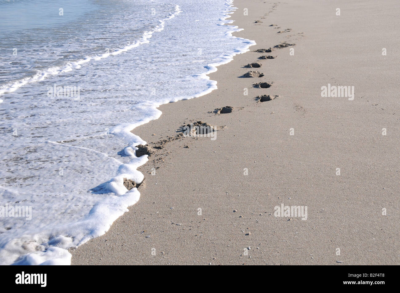 Erasing human footprints Stock Photo - Alamy