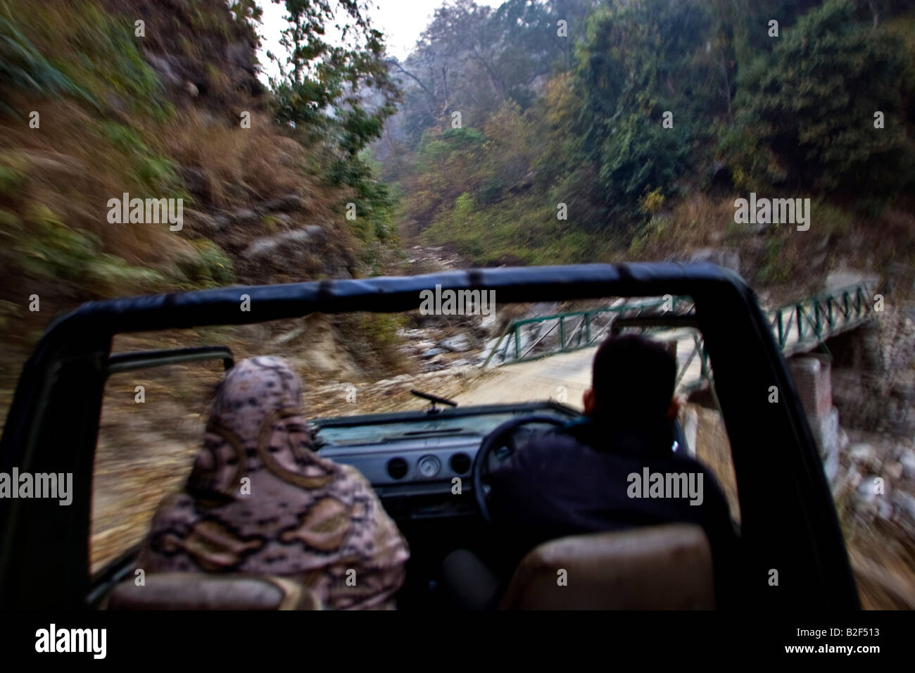 Racing jeep on a forest track Stock Photo - Alamy