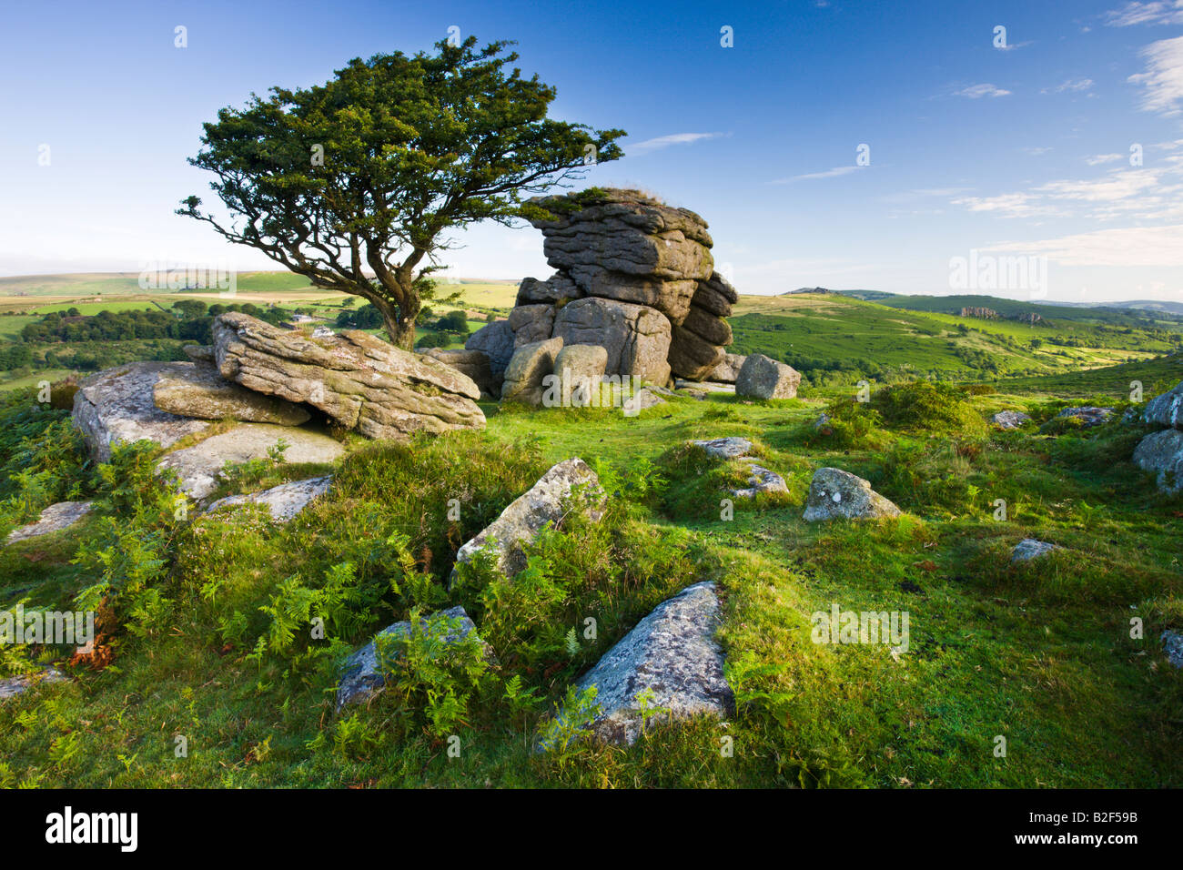 Summer at Saddle Tor in Dartmoor National Park Devon England Stock ...