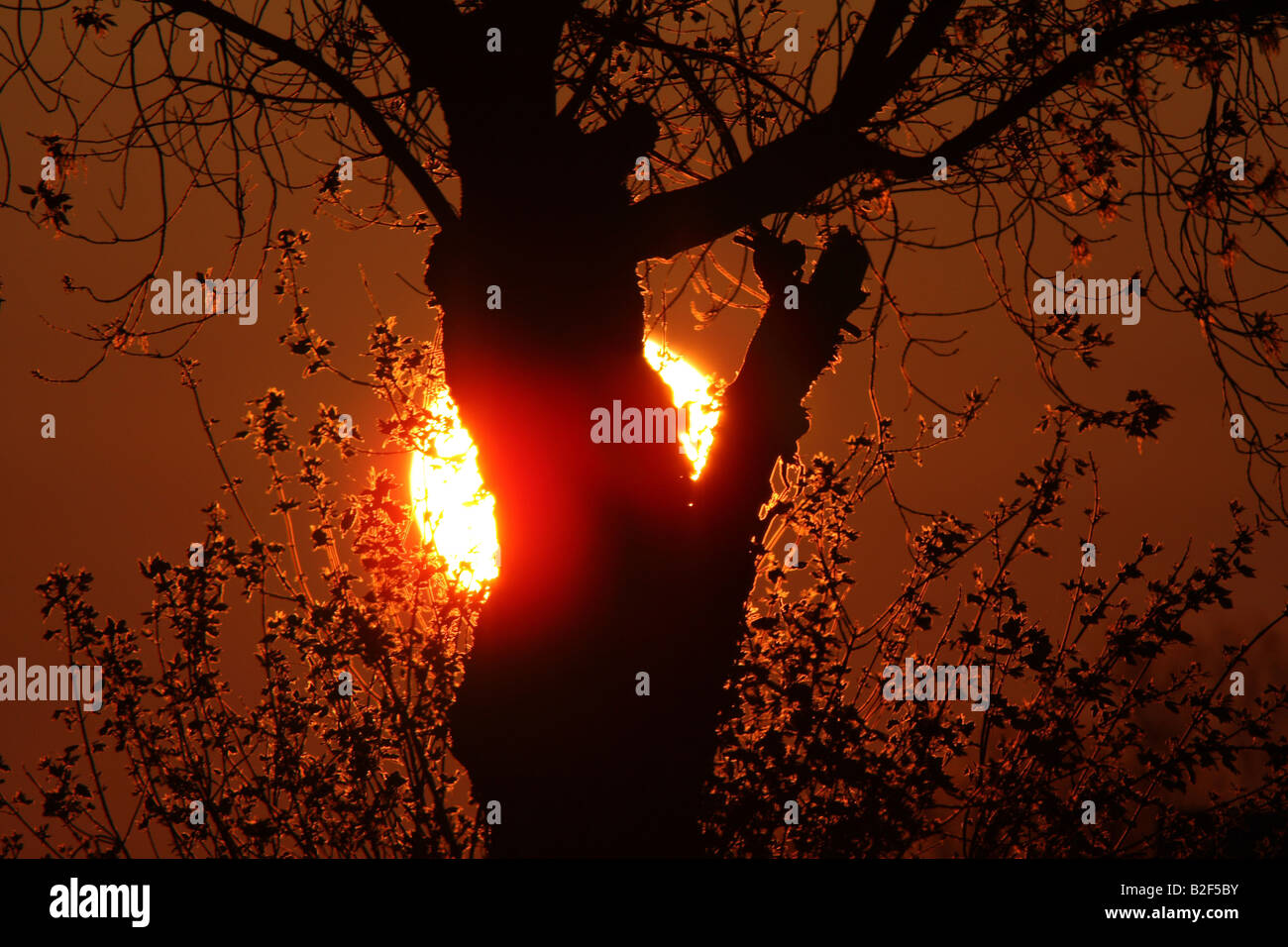 Sundown manitoba hi-res stock photography and images - Alamy