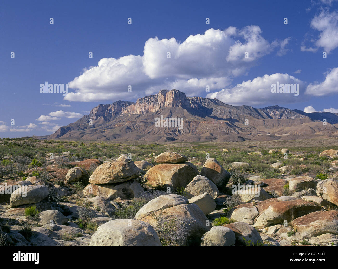 Desert floor boulders hi-res stock photography and images - Alamy
