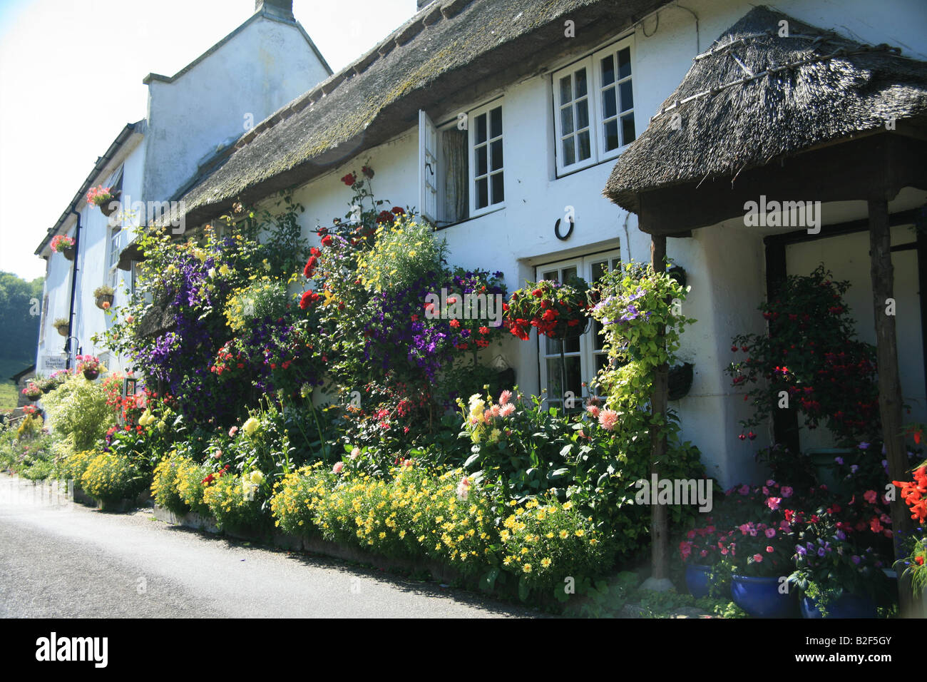 Beautiful White painted cob and thatch cottages with summer flower ...