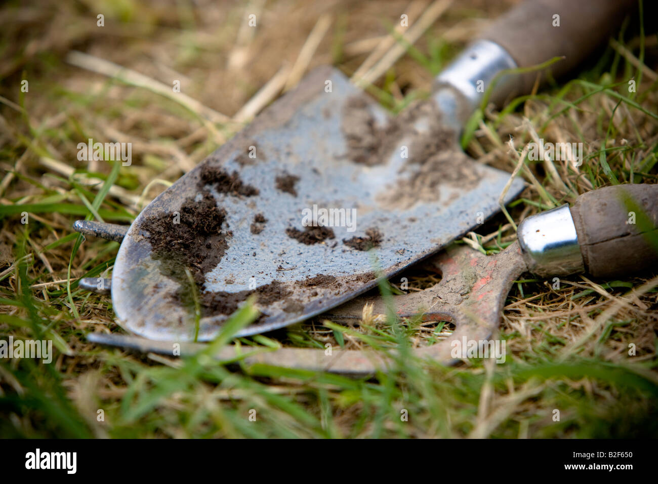 Hand and fork hi-res stock photography and images - Alamy