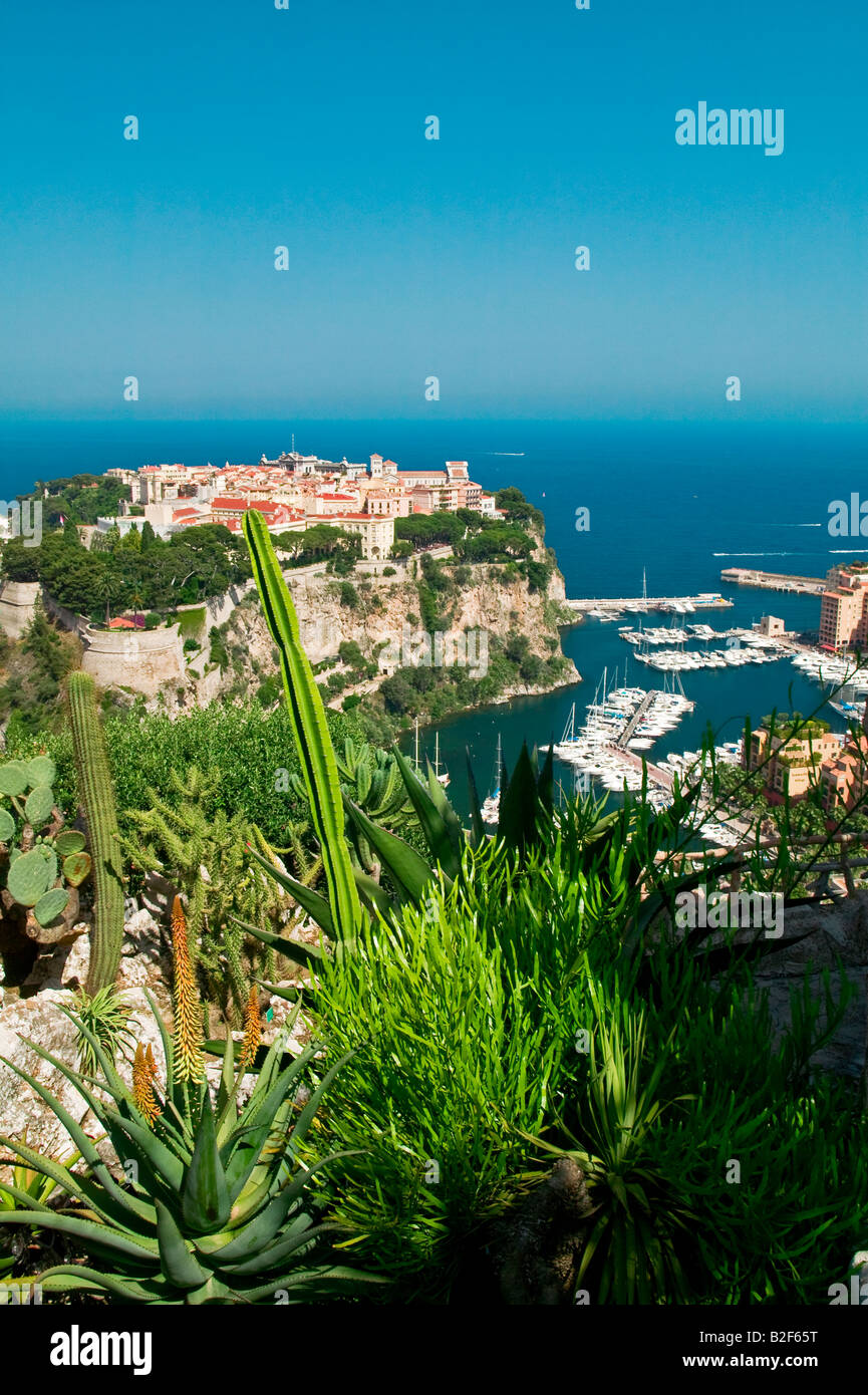 EXOTIC GARDEN AT MONACO Stock Photo - Alamy