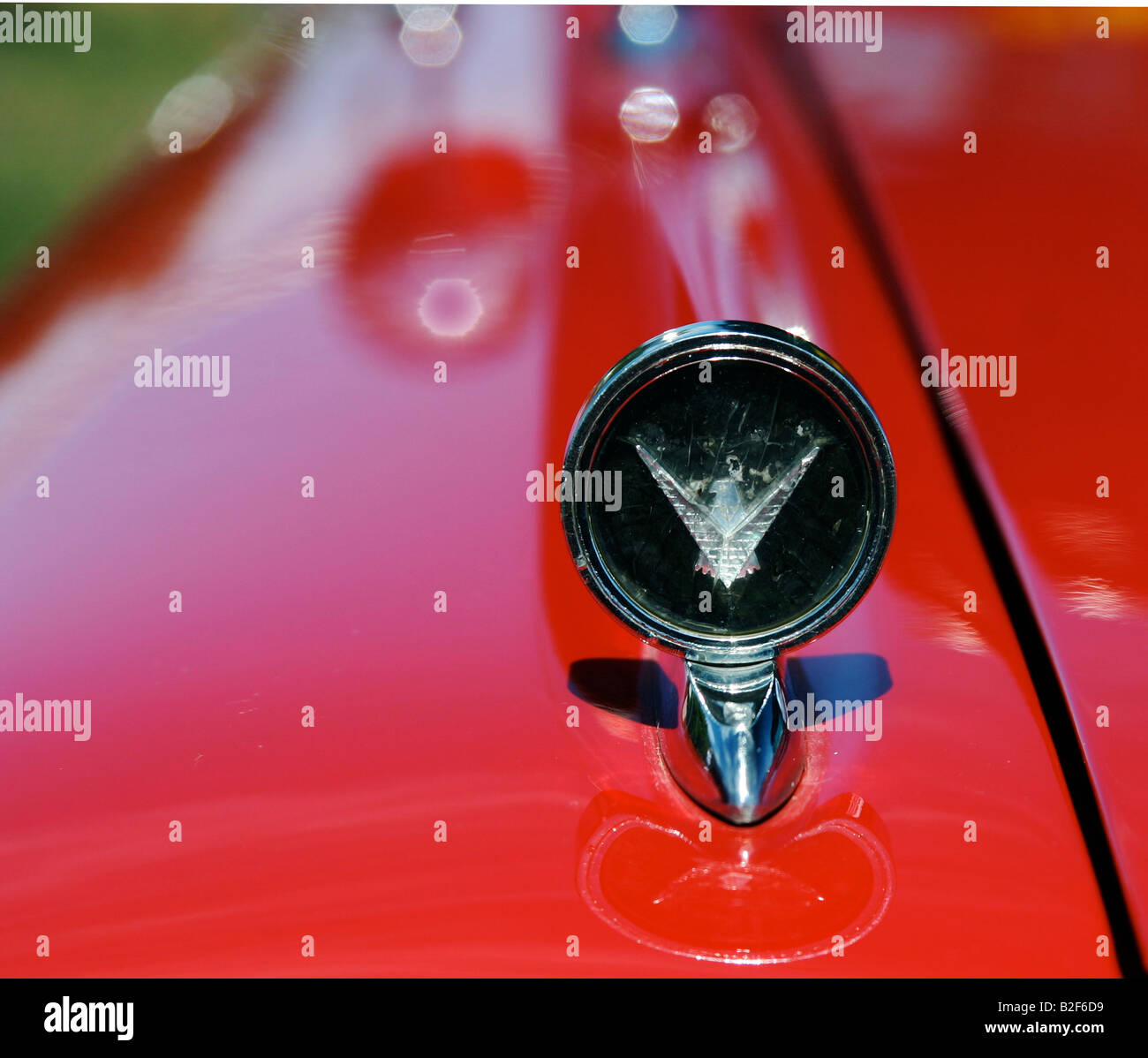 T Bird emblem on hood Stock Photo - Alamy