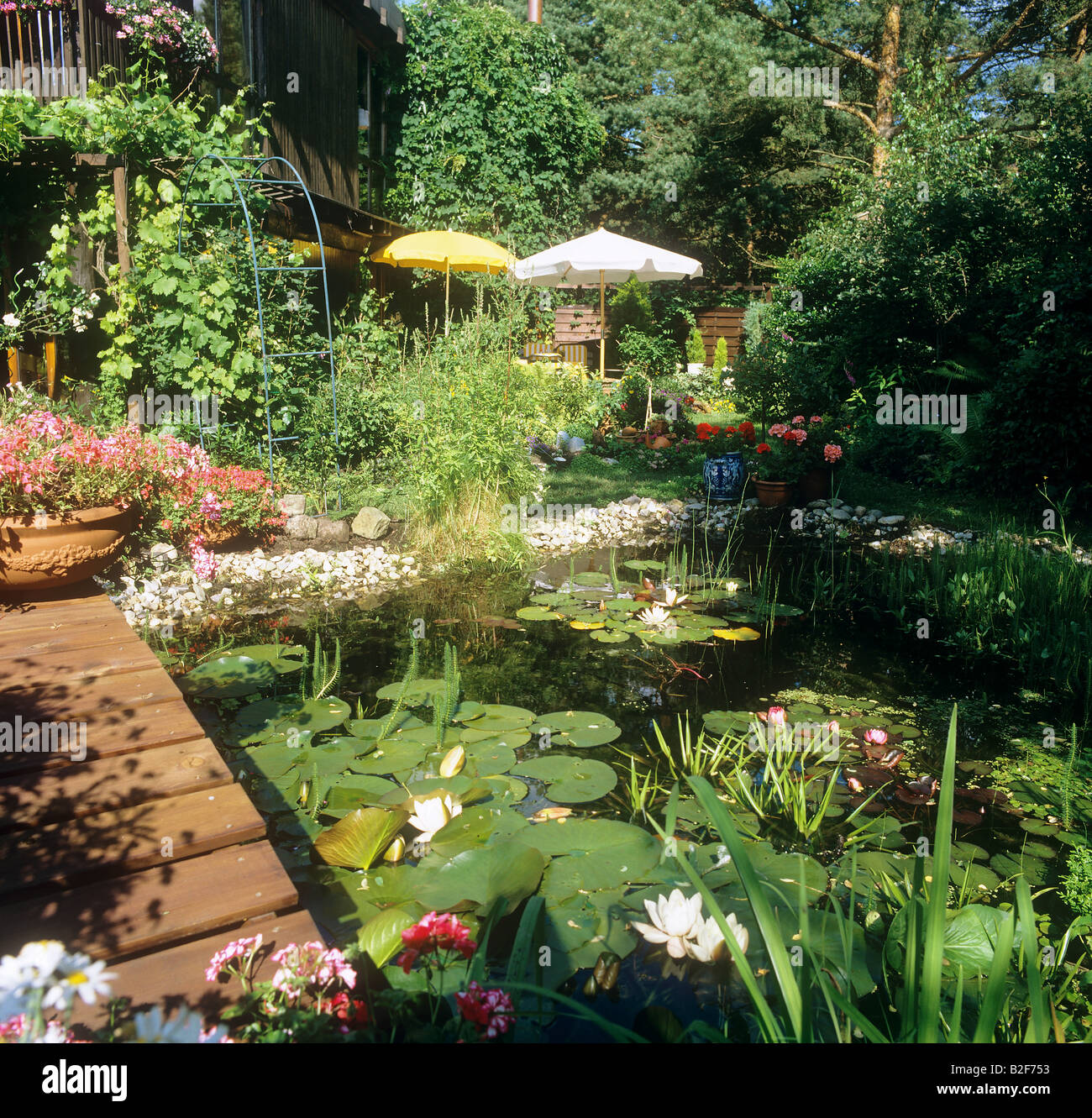 garden pond with bridge Stock Photo - Alamy