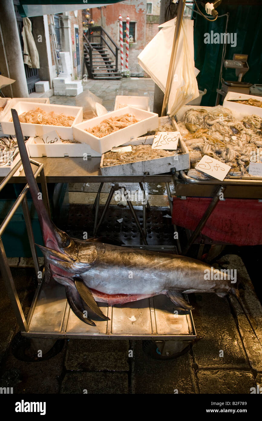 Swordfish sale fish market hi-res stock photography and images - Alamy