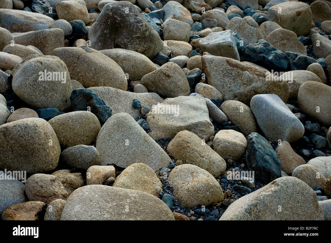 Beach pebbles at Sennen Cove, Cornwall, UK Stock Photo - Alamy