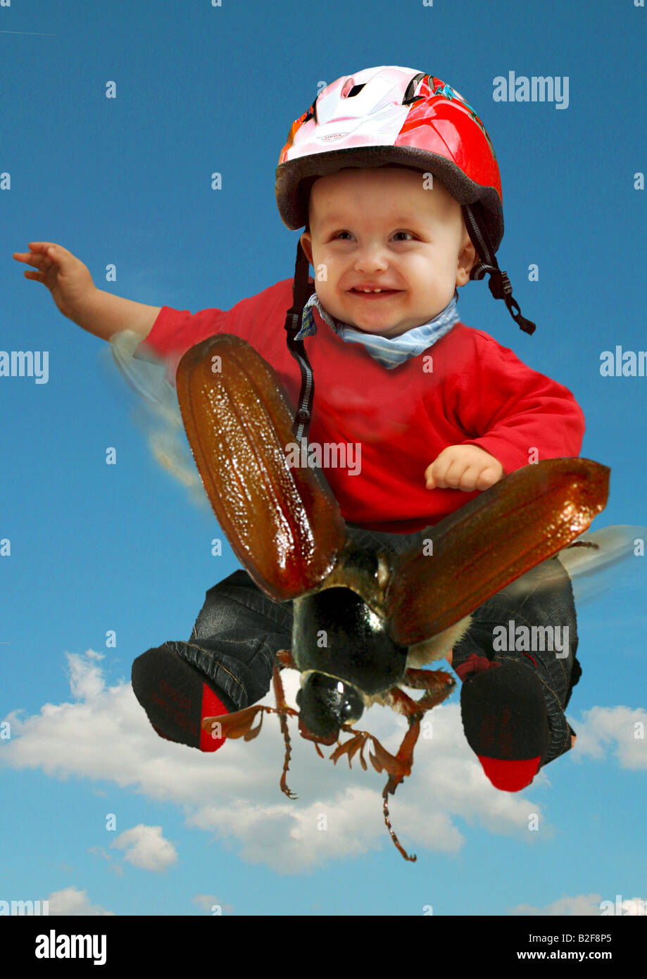 baby - flying on cockchafer Stock Photo - Alamy