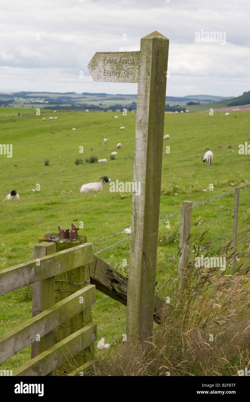 Footpath sign in rural Northumberland near Glanton village England ...