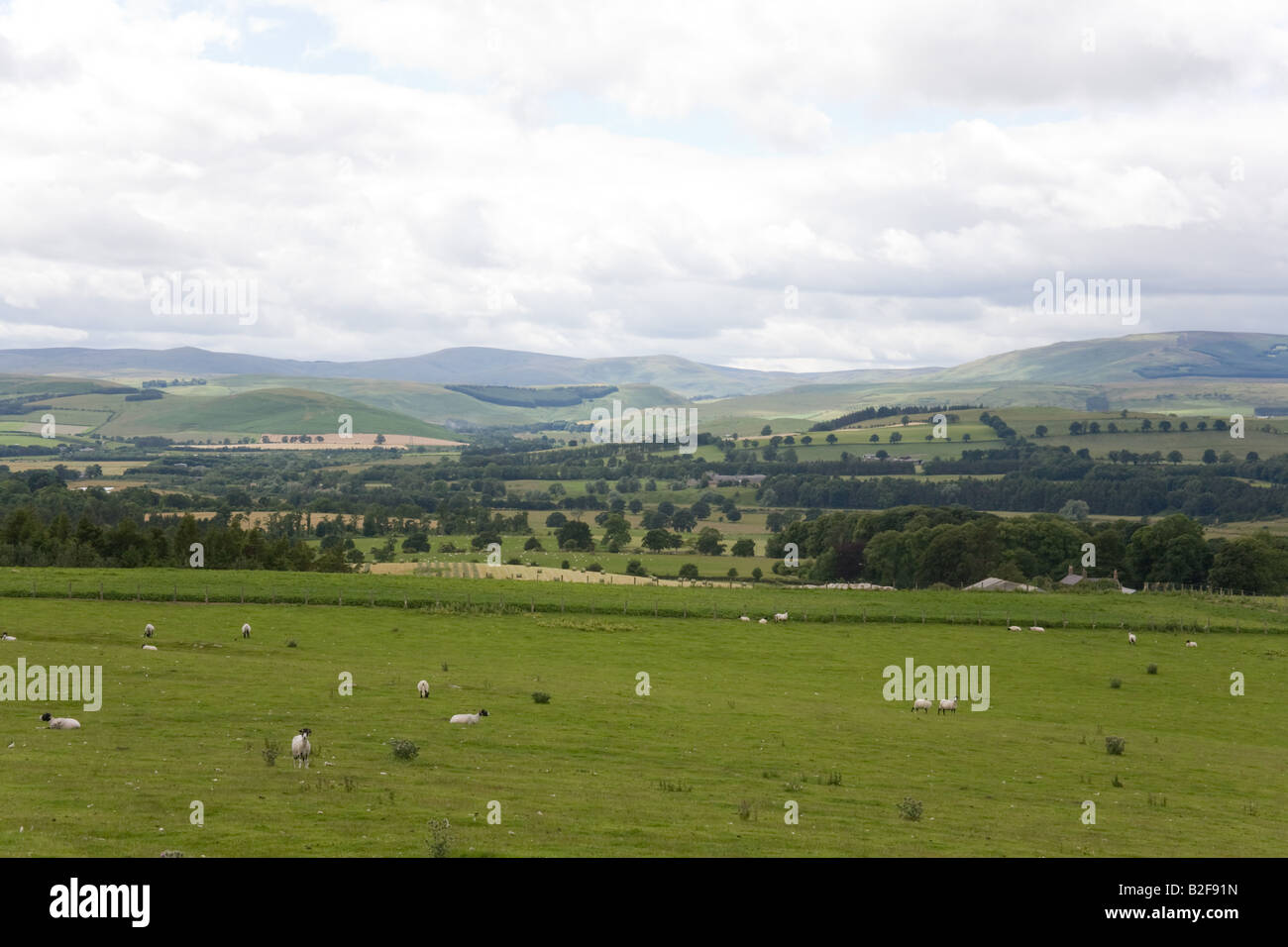 Rural farm fields near glanton northumberland hi-res stock photography ...