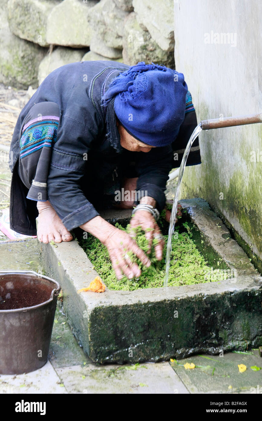 Hani woman at the village of Qingkou, near Yuanyang, Yunnan, China ...