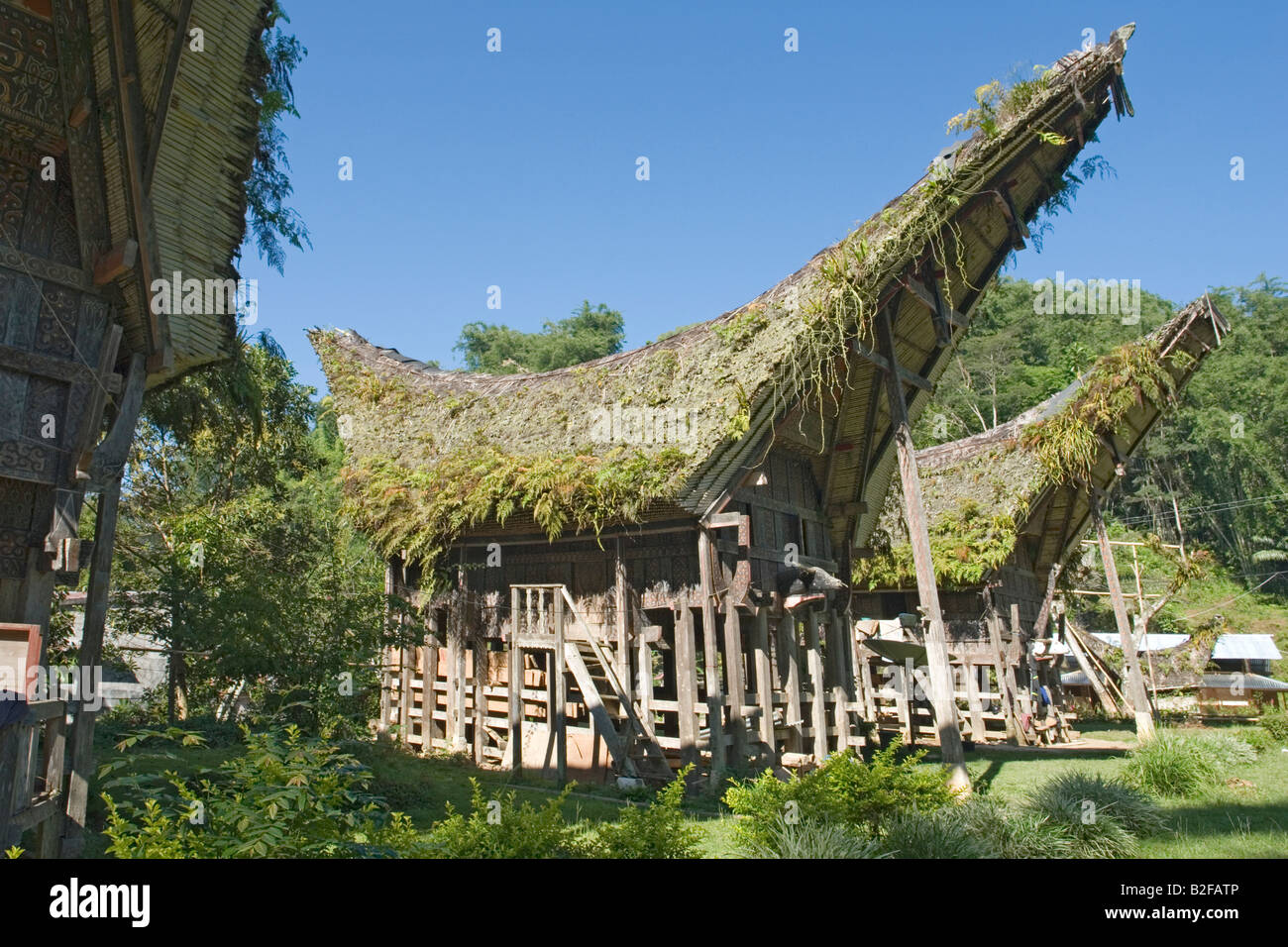 In Lemo, old traditional Torajan houses. Sulawesi-Indonesia. A Lemo ...