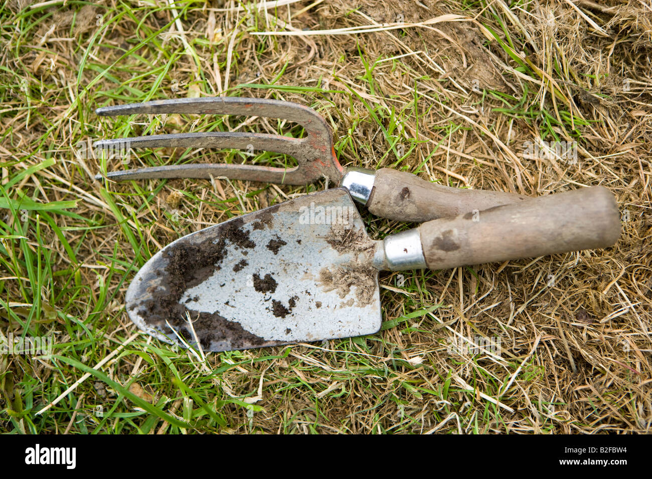 Garden trowel and hand fork Stock Photo - Alamy