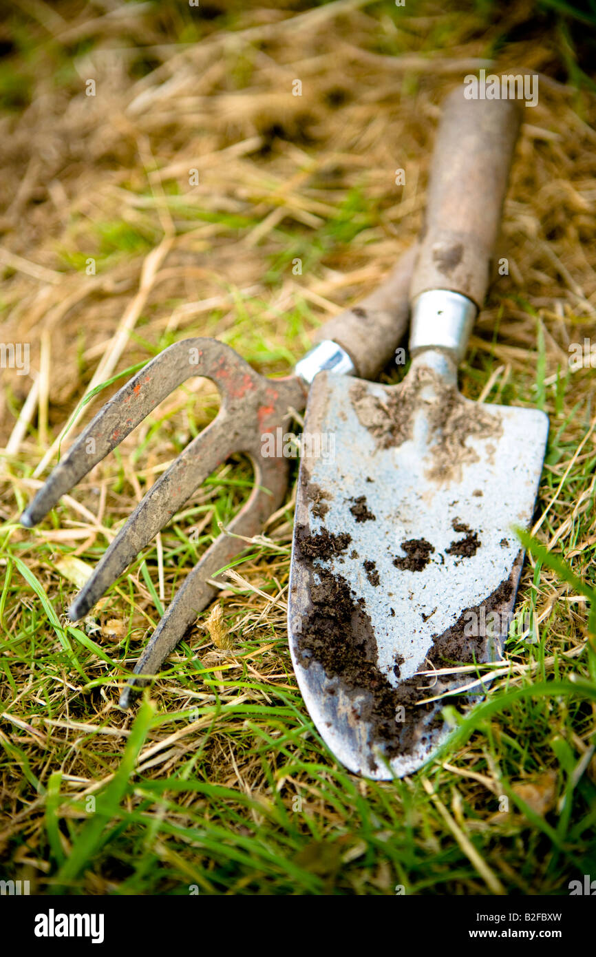 Hand and fork hi-res stock photography and images - Alamy