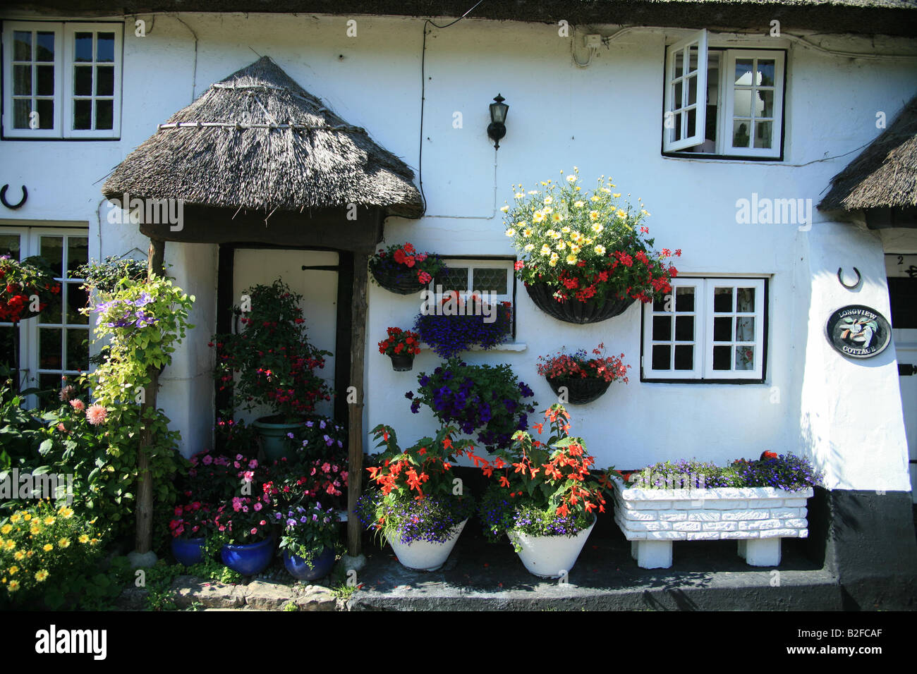 Beautiful White painted cob and thatch cottages with summer flower ...