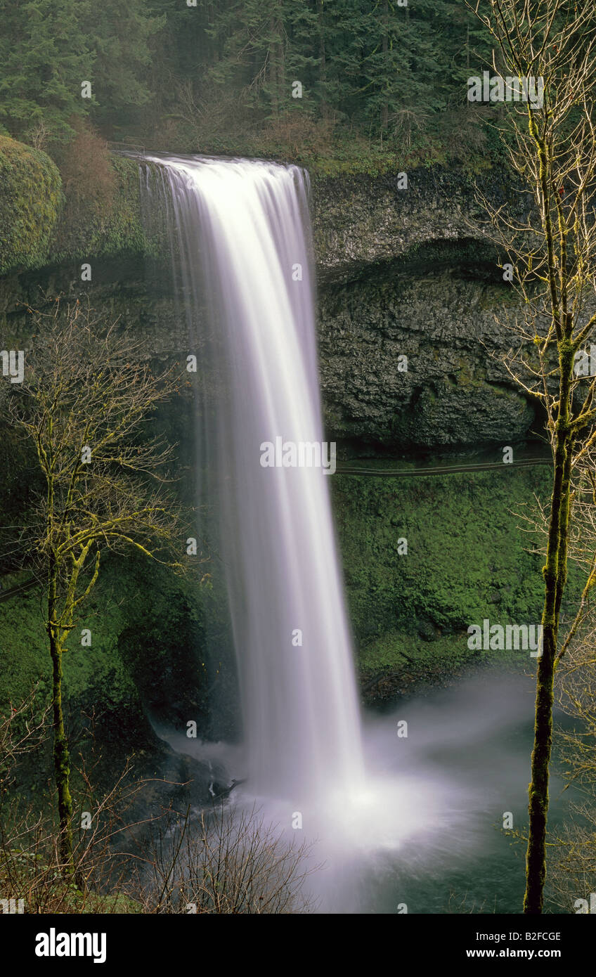 A view of Lower South Falls in Silver Falls State Park on the western ...