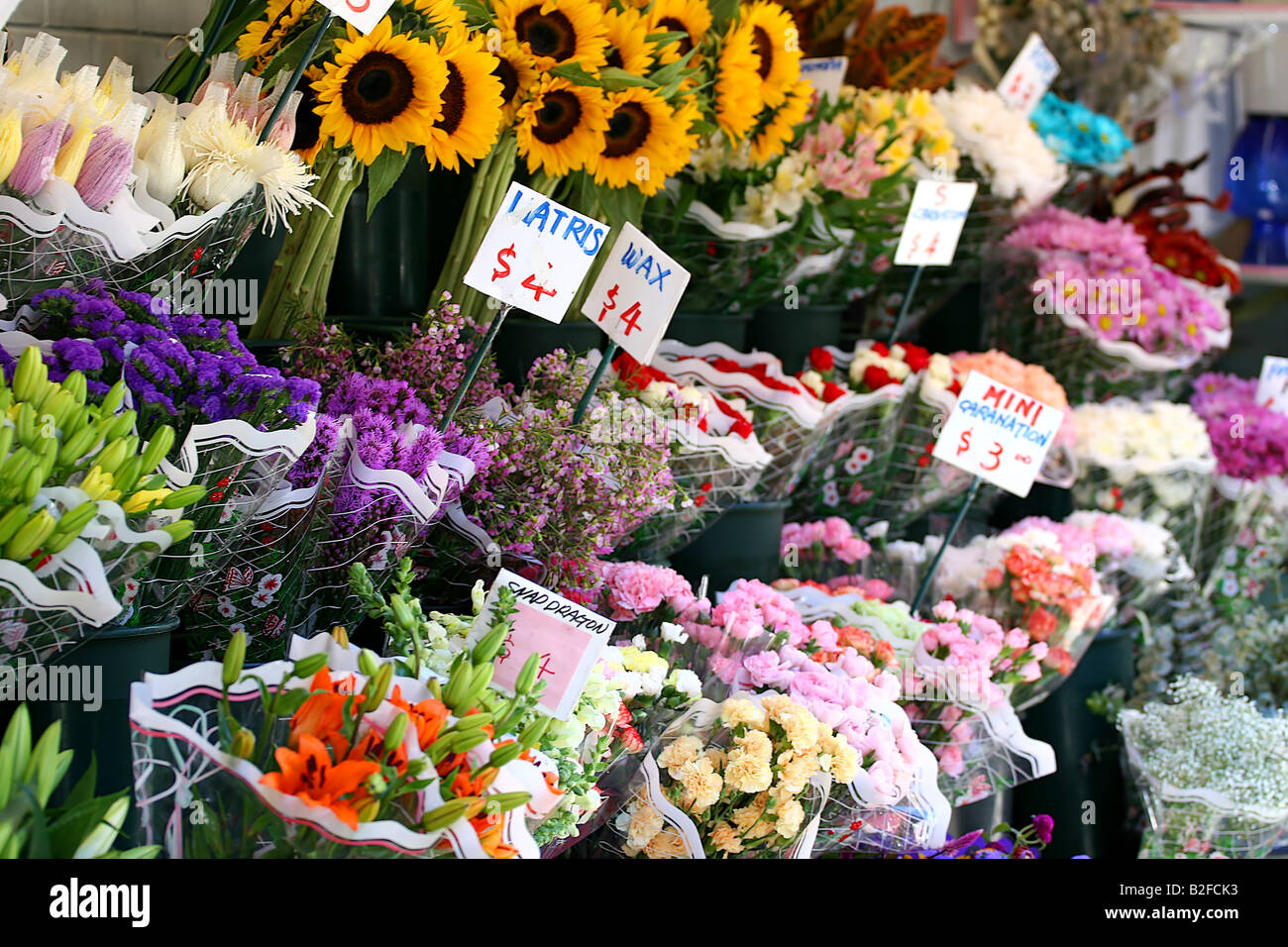Prekas hi-res stock photography and images - Alamy