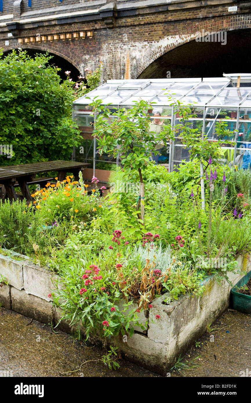 Vegetable plot plots hi-res stock photography and images - Alamy