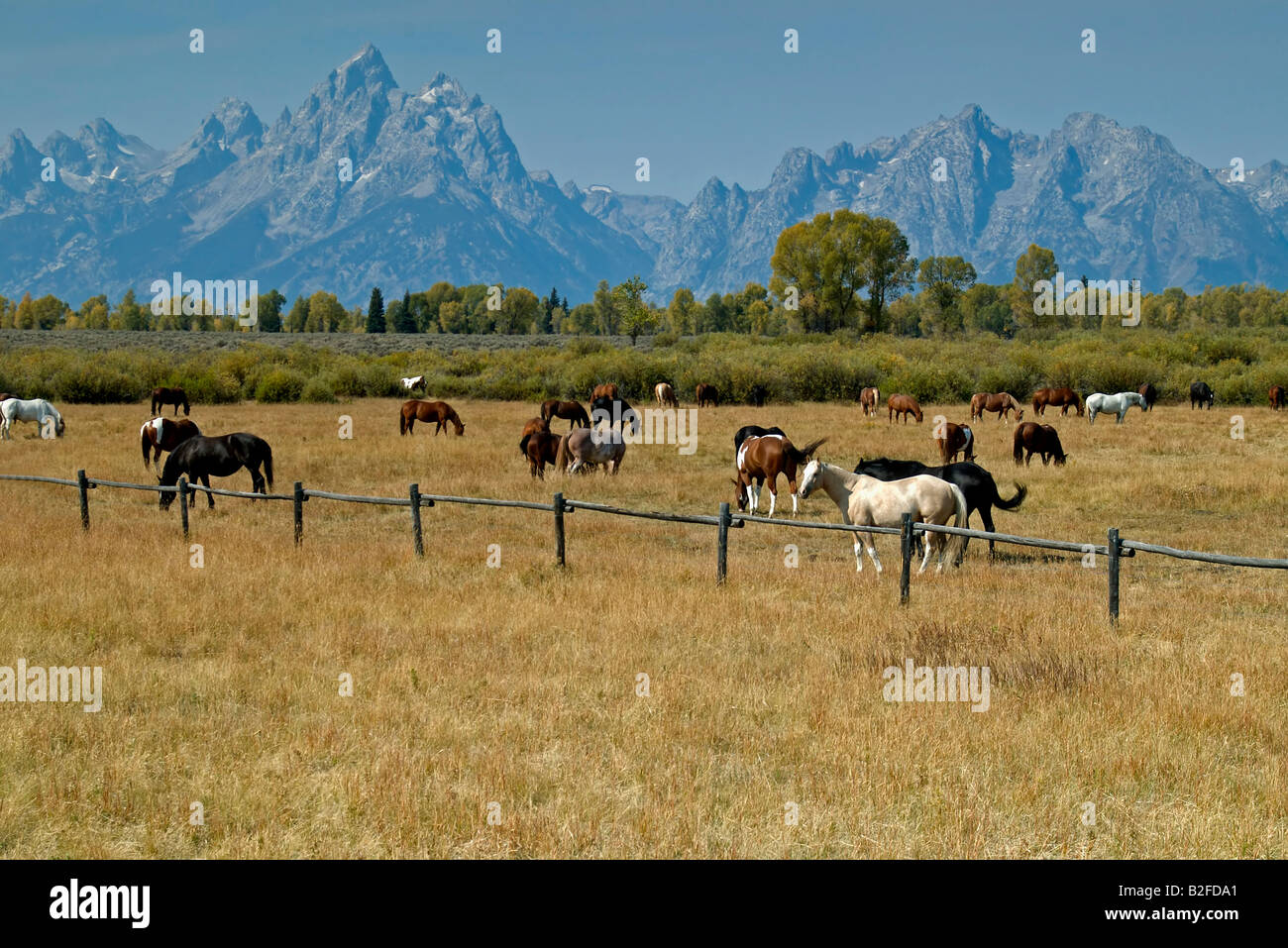 USA, Wyoming, Grand Teton National Park, Horse Ranch on Jackson Hole ...
