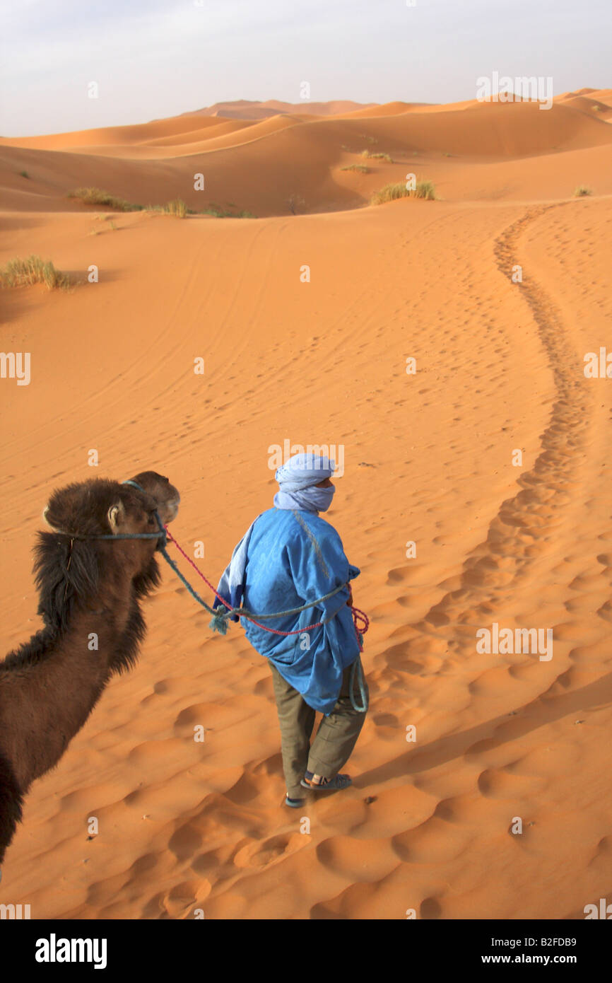 Camel ride at desert hi-res stock photography and images - Alamy