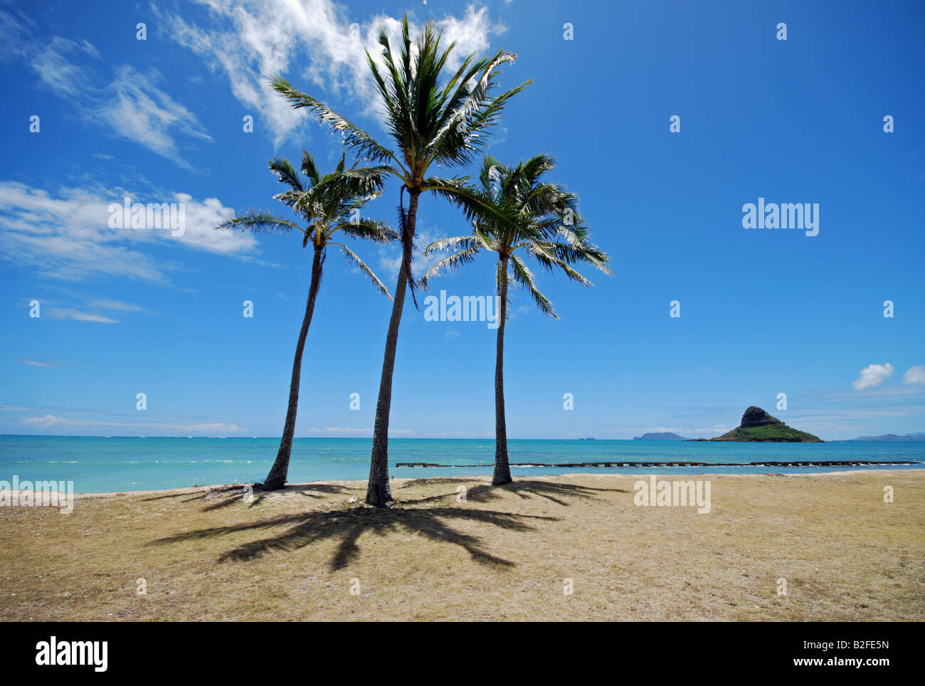 Kualoa Park High Resolution Stock Photography and Images - Alamy