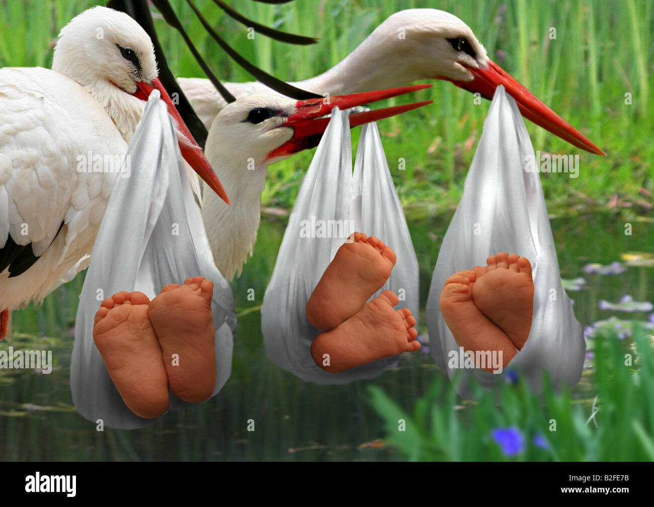 Stork bringing baby hi-res stock photography and images - Alamy