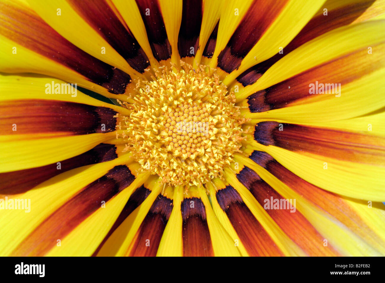 Center Of Interest Photography