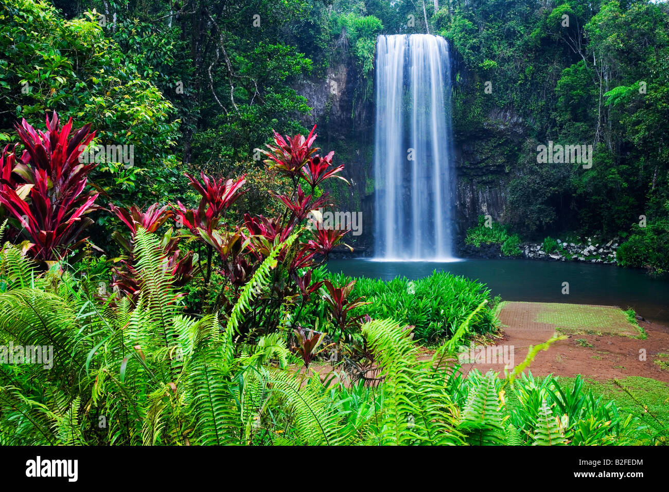 Millaa Millaa Falls - Cairns, Queensland, AUSTRALIA Stock Photo - Alamy