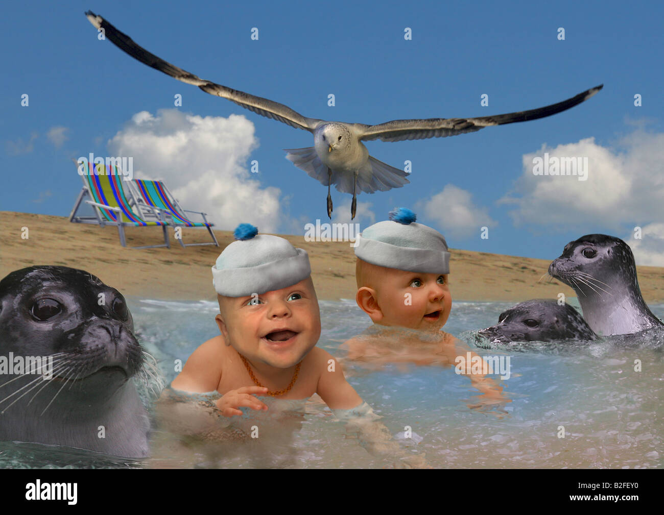 Two baby seals hi-res stock photography and images - Alamy