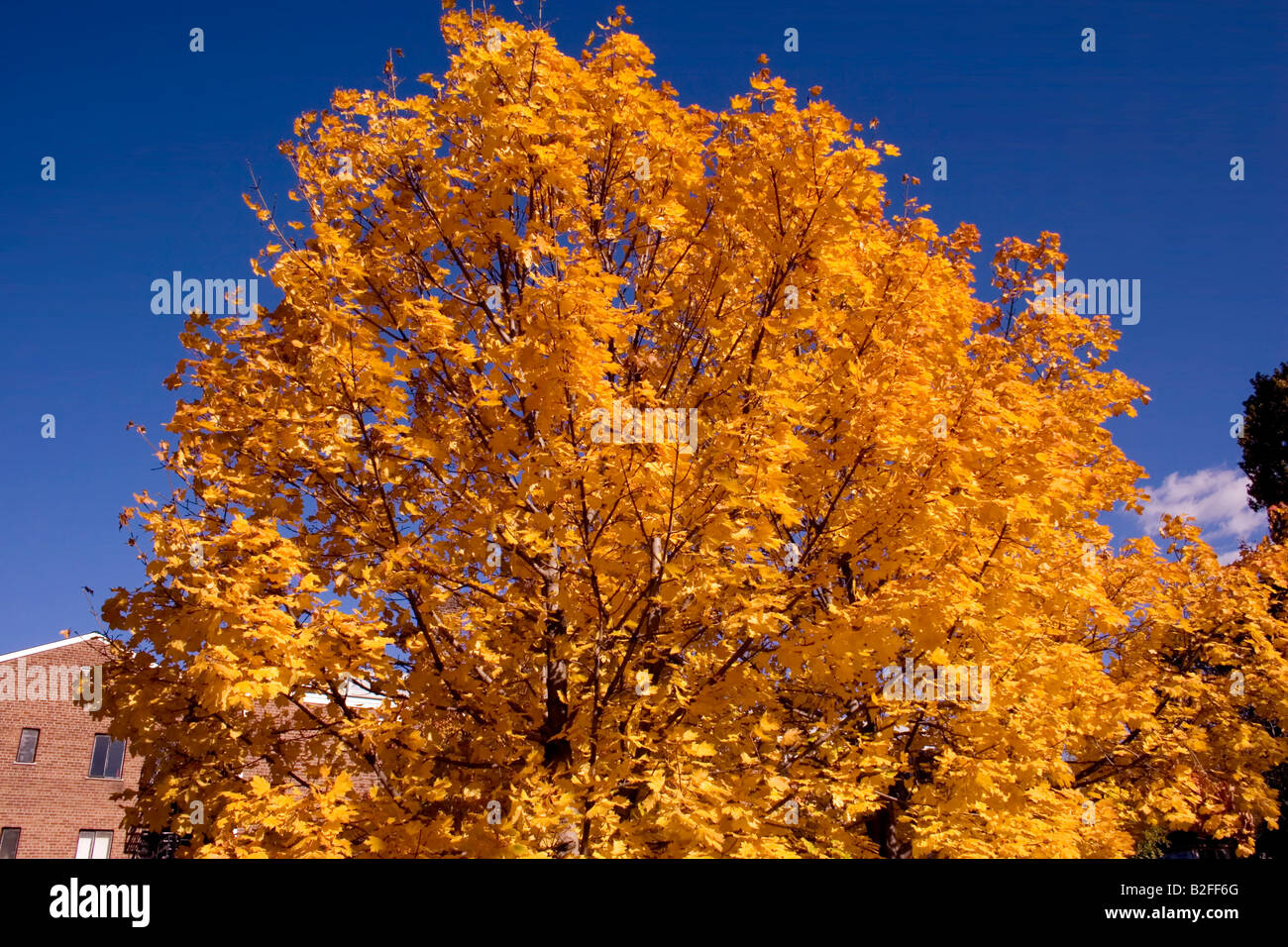 Prekas hi-res stock photography and images - Alamy