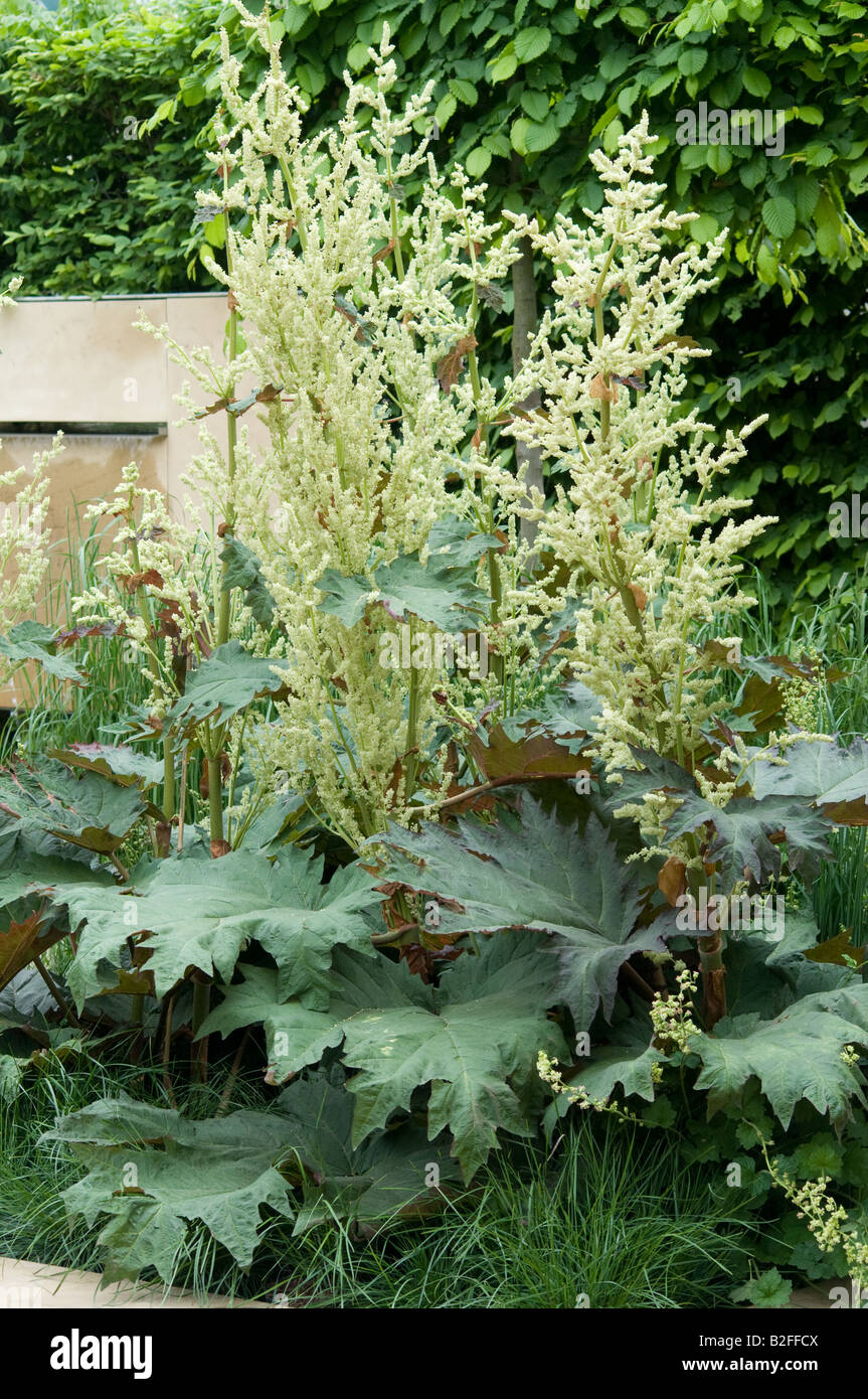 Designer garden with potted plants Stock Photo - Alamy