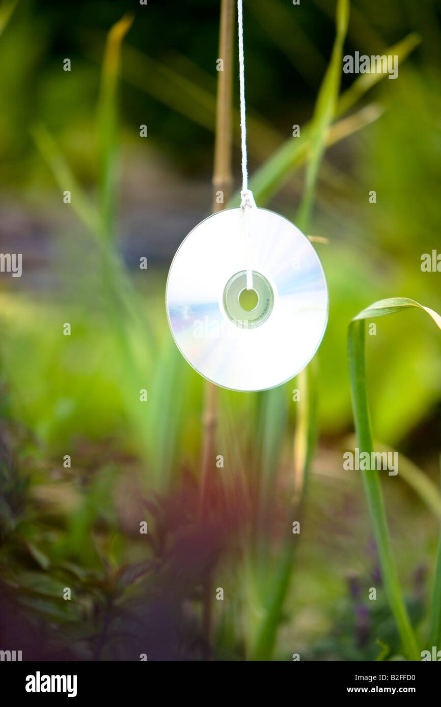 compact disc cd used to scare birds from garden vegetable patch Stock ...