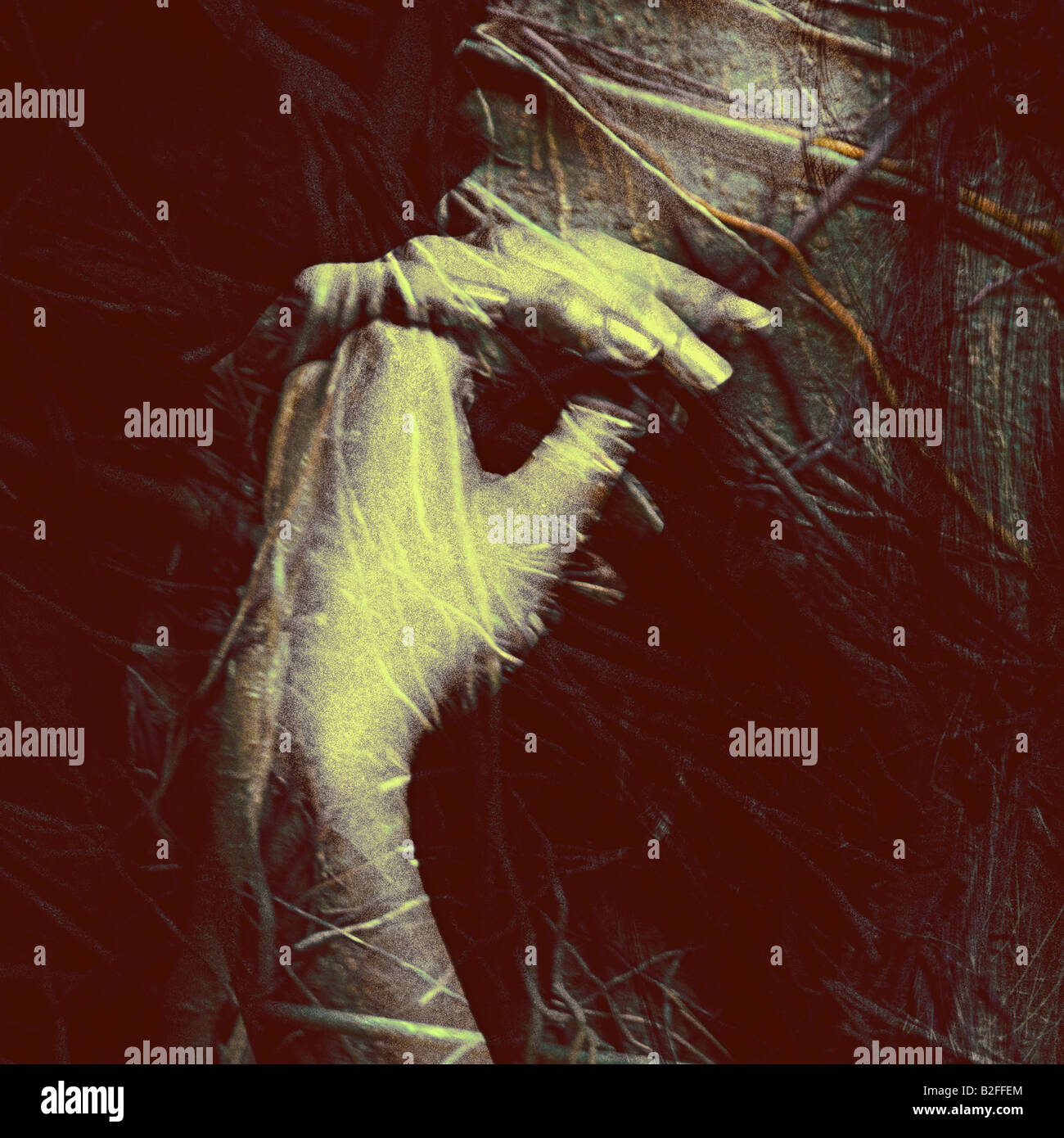 Surreal, woman, face, fine art hi-res stock photography and images - Alamy