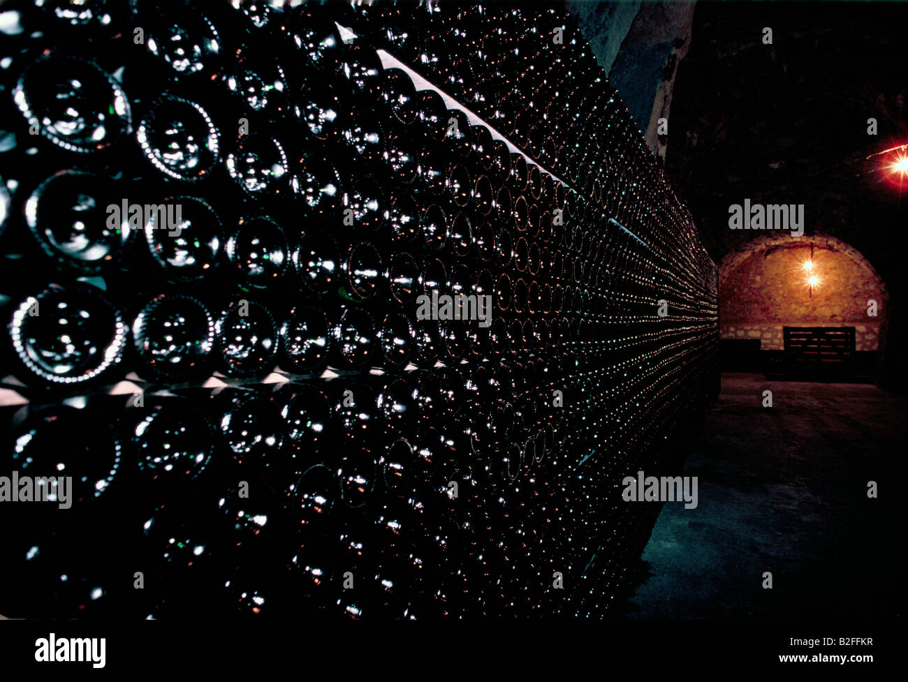rows of wine bottle bottoms in the cellar of a french château Stock ...