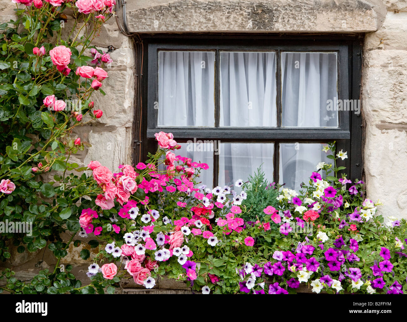 Cottage Window With Flower Boxes Holy Island Northumberland UK Europe ...
