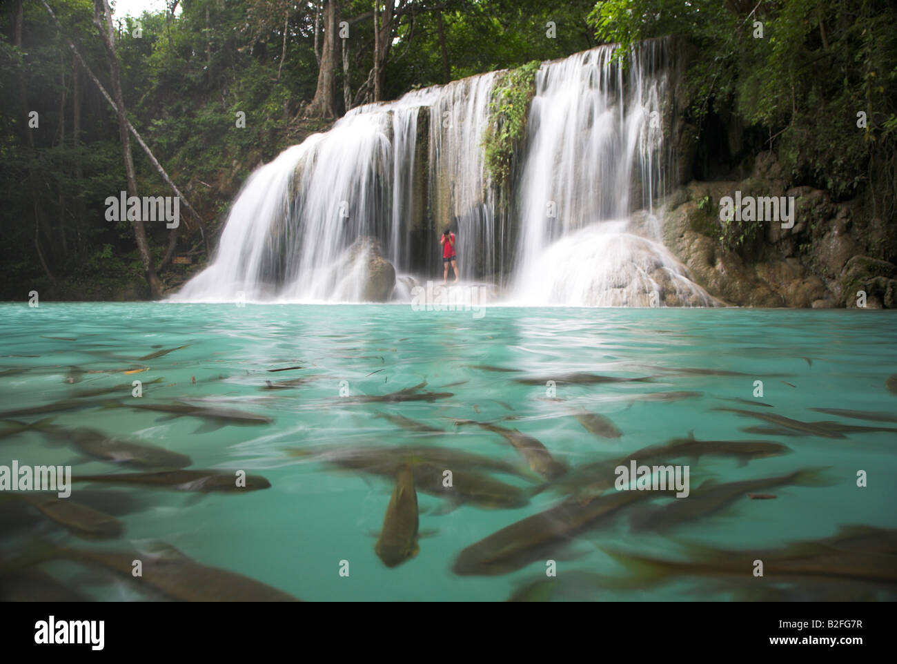 Large fish swim around a waterfall at the Erawan Falls in Kanchanaburi ...
