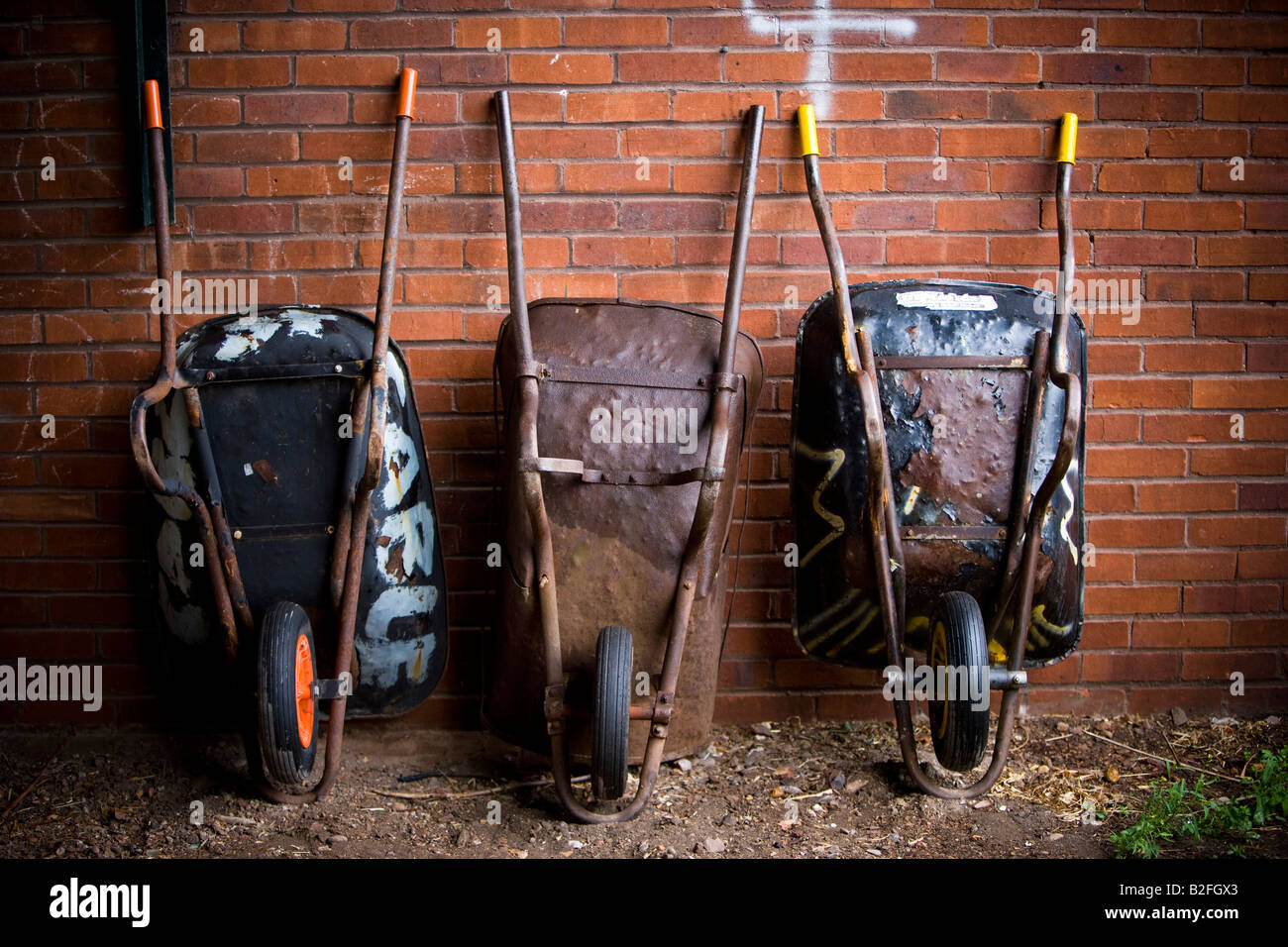 Three wheelbarrows hi-res stock photography and images - Alamy